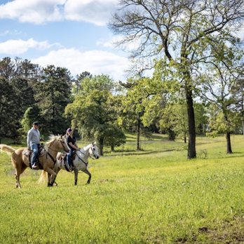 DEAD CAT RANCH - Updated August 2025 - 28 Photos - 3775 Fm 315 ...