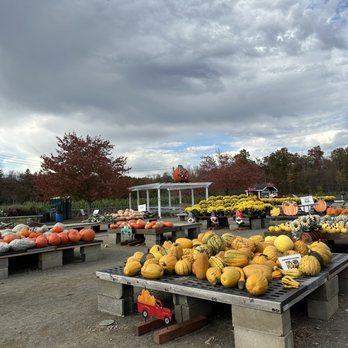 SECOR FARMS - Updated September 2025 - 238 Photos & 80 Reviews - 168 ...