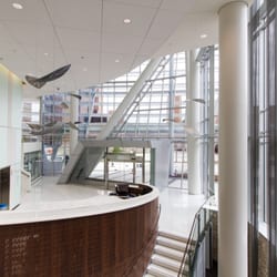 ADVOCATE ILLINOIS MASONIC MEDICAL CENTER - 73 Photos & 315 Reviews ...