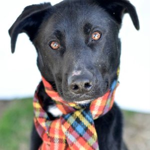 RICHMOND ANIMAL HOSPITAL - Updated October 2025 - 233 E Main St ...