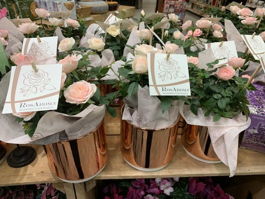 WEGMANS | 95 Photos & 180 Reviews - 724 Route 202 S, Bridgewater, New ...