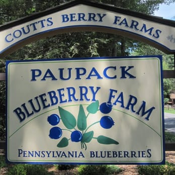 THE PAUPACK BLUEBERRY FARM - Updated October 2025 - 12 Photos & 11 ...