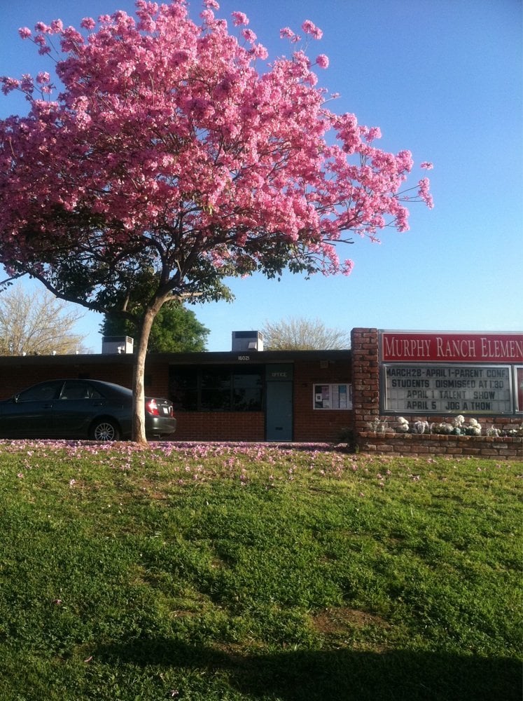 MURPHY RANCH ELEMENTARY SCHOOL - Updated May 2024 - 16021 Janine Dr ...