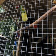 DELRAY GARDEN CENTER - 63 Photos & 39 Reviews - Nurseries & Gardening ...