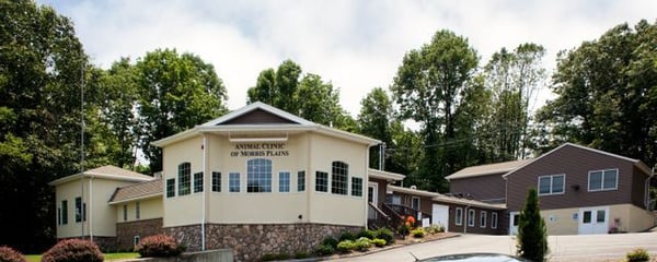 VCA MORRIS PLAINS ANIMAL HOSPITAL - Updated May 2025 - 14 Photos & 73 ...