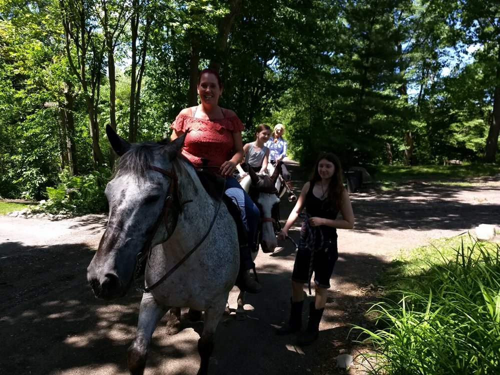 LORI GRUBER HORSING AROUND - Milford, MI - Yelp