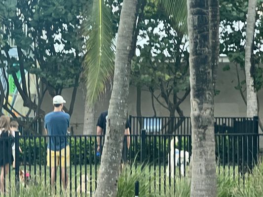 ALLISON PARK - Updated March 2026 - 66 Photos - 6500 Collins Ave, Miami ...
