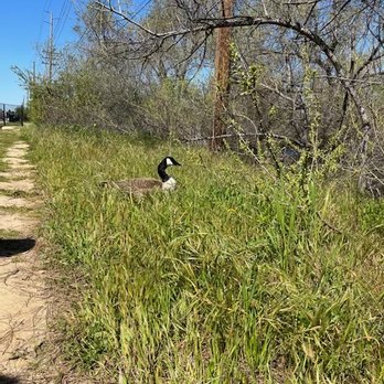 MADRONA MARSH PRESERVE AND NATURE CENTER - Updated December 2025 - 350 ...