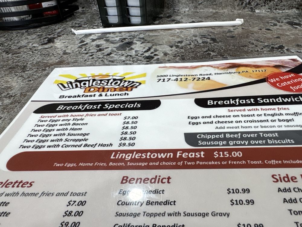 LINGLESTOWN DINER - Updated May 2026 - 17 Reviews - 5000 Linglestown Rd ...