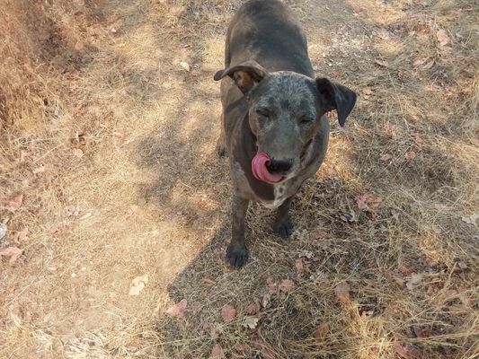 BAILEY VETERINARY CLINIC - Updated March 2024 - 13 Photos & 53 Reviews ... BAILEY VETERINARY CLINIC - Updated March 2024 - 13 Photos & 53 Reviews ...