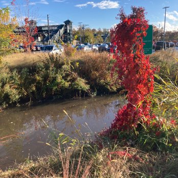 PIERSON PARK - Updated August 2025 - 50 Photos & 14 Reviews - 238 W ...