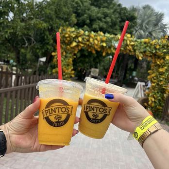 PINTO’S FARM - Updated August 2025 - 549 Photos & 179 Reviews - 14890 ...