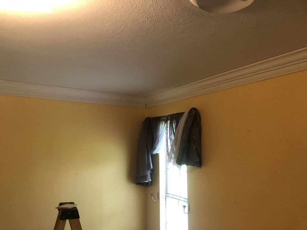 TBD PAINTING - Updated April 2024 - 389 Photos - Jackson, Mississippi ...