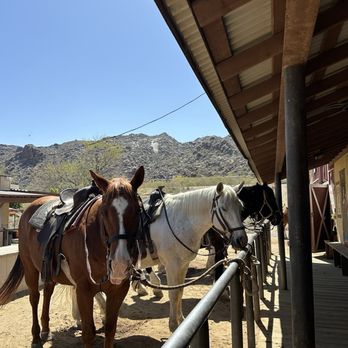 PONDEROSA STABLES - Updated June 2025 - 306 Photos & 226 Reviews ...