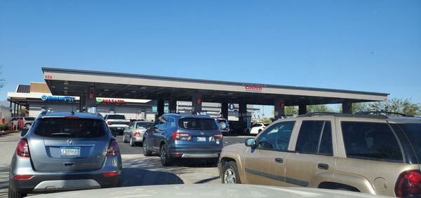 Costco Gas Prices Surprise Az