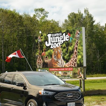 ELMVALE JUNGLE ZOO - Updated October 2025 - 167 Photos - 14191 Simcoe ...