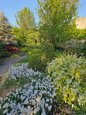 JC RAULSTON ARBORETUM - Updated October 2025 - 639 Photos & 112 Reviews ...