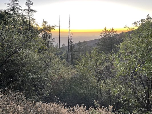 HARRISON SERENITY RANCH - Updated January 2026 - 65 Photos - 18187 Nate ...