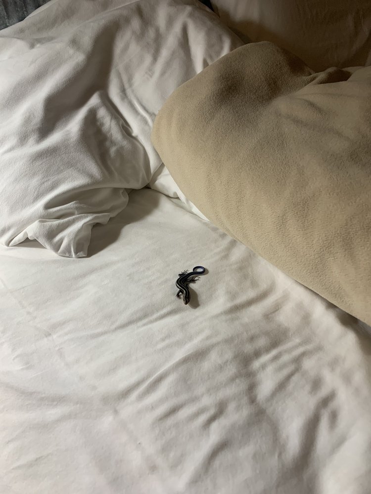 SAND SPRING RESORT - Updated December 2025 - 15 Reviews - 11451 Hwy 64 ...