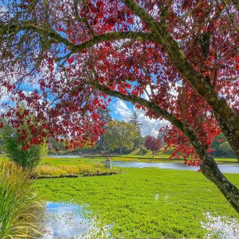 MINGUS PARK - Updated December 2025 - 58 Photos & 11 Reviews - 1100 ...