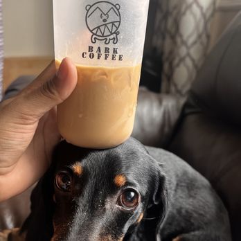 BARK COFFEE - Updated January 2025 - 176 Photos & 179 Reviews - 13120 ...