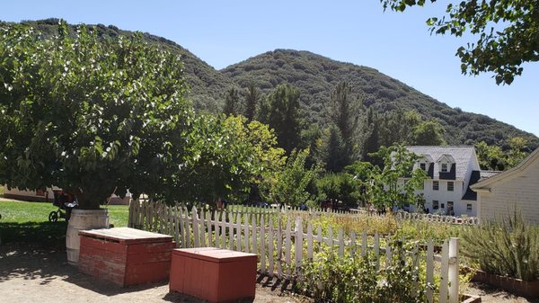 RILEY’S FARM’S LIVING HISTORY - 113 Photos & 44 Reviews - 12261 Oak ...