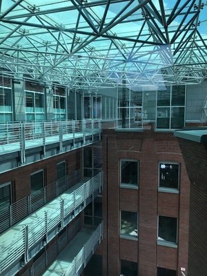 LOUIS STOKES HEALTH SCIENCES LIBRARY - Updated July 2024 - 14 Photos ...