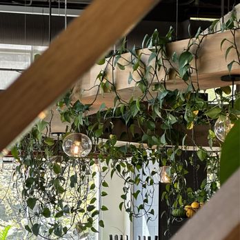 PARABLE CAFE - 294 Photos & 126 Reviews - 149 S High St, Columbus, Ohio ...