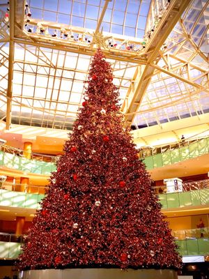 GALLERIA ICE SKATING CENTER - 38 Photos & 58 Reviews - 13350 Dallas ...