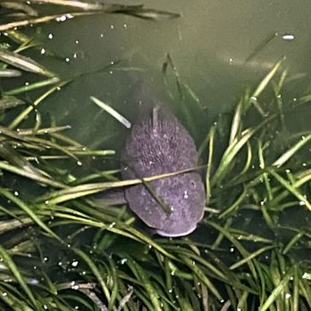 LAKE MIRROR COMPLEX - Updated October 2025 - 199 Photos & 26 Reviews ...