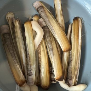 HARBOR FISH MARKET - Updated August 2025 - 252 Photos & 149 Reviews - 9 ...