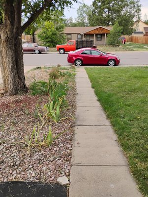 CARVANA DENVER - Updated July 2025 - 60 Photos & 170 Reviews - 4700 E ...