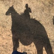 RIVER RANCH TEXAS HORSE PARK - 60 Photos & 21 Reviews - 811 Pemberton ...