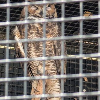 OC ZOO IRVINE REGIONAL PARK - Updated October 2025 - 111 Photos & 41 ...