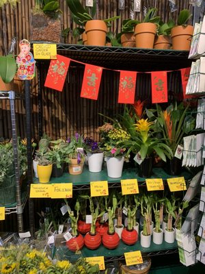 BERKELEY BOWL MARKETPLACE - 974 Photos & 1637 Reviews - Grocery - 2020 ...