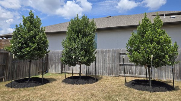 MOON VALLEY NURSERIES - Updated October 2025 - 51 Photos & 67 Reviews - 3550 N Loop 1604 E, San ...