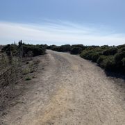 COWELL RANCH BEACH - 564 Photos & 78 Reviews - Hwy 1, Half Moon Bay ...