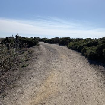 COWELL RANCH BEACH - Updated July 2025 - 570 Photos & 82 Reviews - Hwy ...