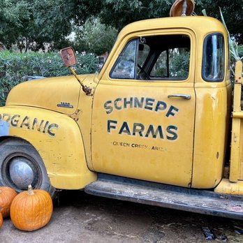 SCHNEPF FARMS - Updated August 2024 - 1042 Photos & 582 Reviews - 24610 ...