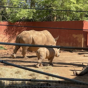 ZOO ATLANTA - Updated June 2024 - 2729 Photos & 642 Reviews - 800 ...