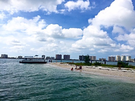 ONE TREE ISLAND - Updated October 2025 - Clearwater, Florida - Parks - Yelp