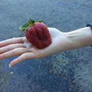 CRYSTAL BAY FARM - 125 Photos & 60 Reviews - Fruits & Veggies - 40 Zils ...