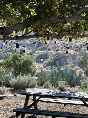 BLOOM RANCH OF ACTON - Updated April 2025 - 136 Photos & 51 Reviews ...