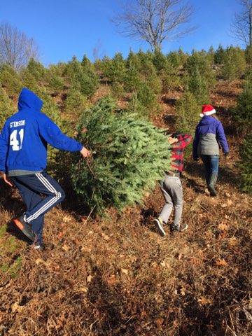 VARNEY HOMESTEAD TREE FARM - Updated October 2025 - 18 Photos - 93 ...