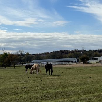 4 HEARTS RANCH - Updated April 2025 - 130 Photos - 16151 US 377 S, Fort ...