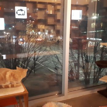 CATFE - Updated December 2025 - 466 Photos & 117 Reviews - 88 West ...