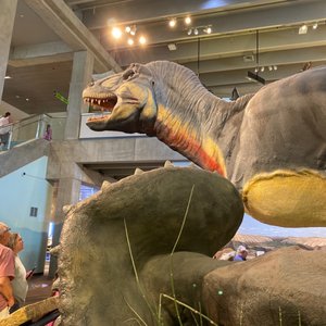 SAINT LOUIS SCIENCE CENTER - 573 Photos & 227 Reviews - Planetarium ...