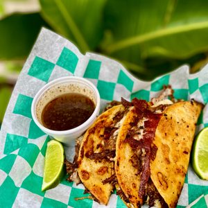 CALICO CACTUS - Updated January 2025 - 74 Photos & 10 Reviews - 833 S ...