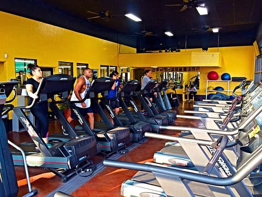 FIT NATION GYM - Updated May 2025 - 71 Photos & 130 Reviews - 11703 ...