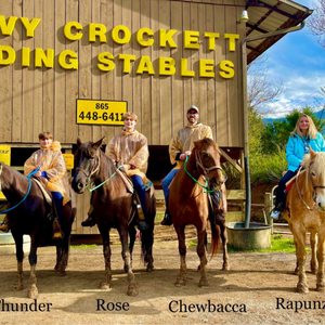 SUGARLANDS STABLES - Updated May 2025 - 19 Photos - 1409 Pkwy ...